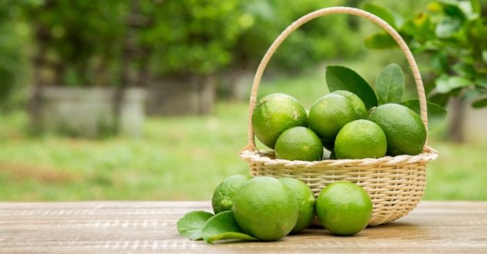 Chanh: Loại quả chua hỗ trợ miễn dịch và ngăn ngừa sỏi thận